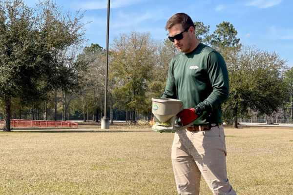 Fire Ant Control | Adams Exterminators Serving GA & AL