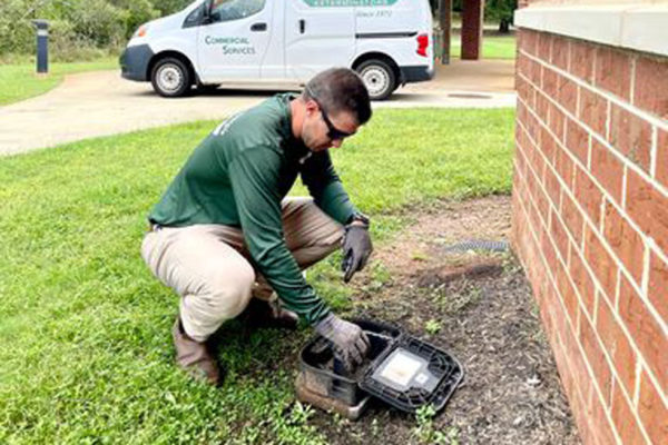 Rodent Control | Adams Exterminators